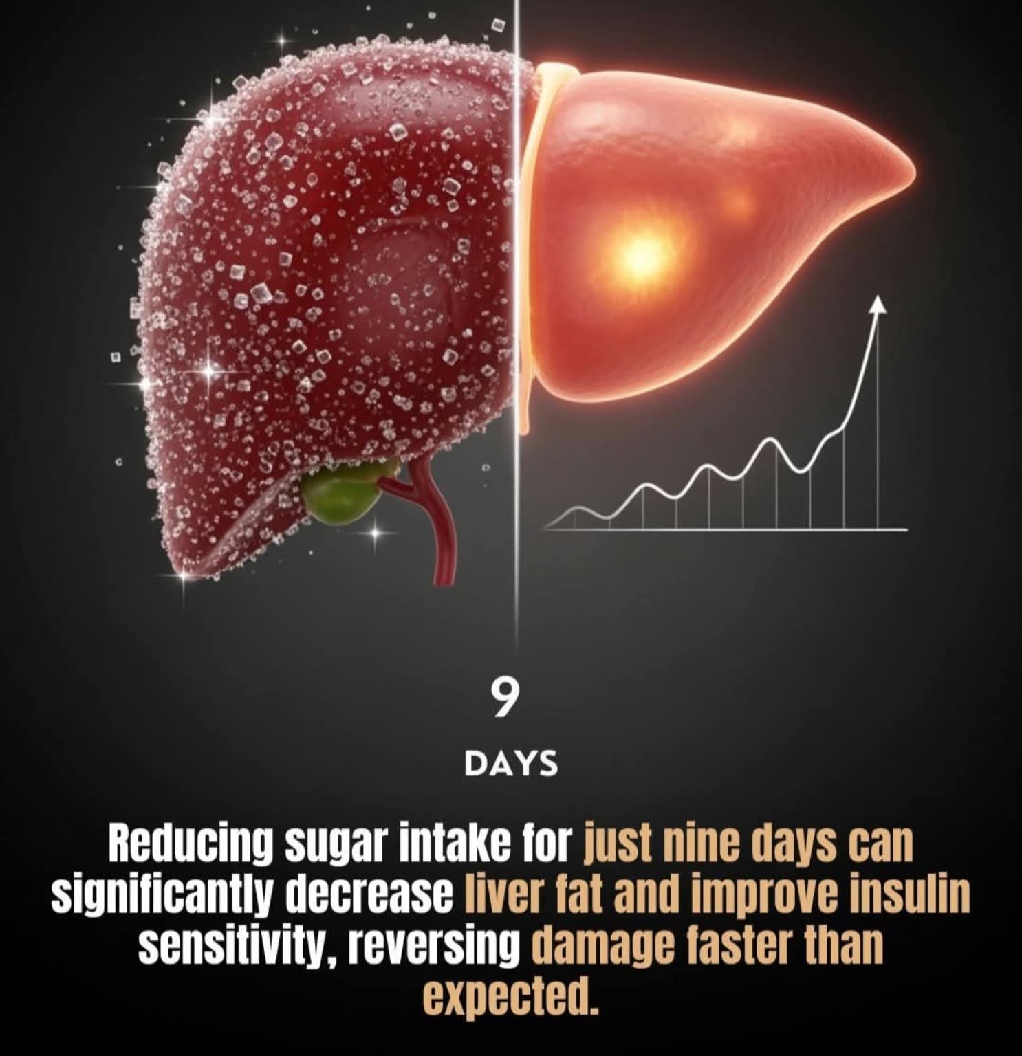 The 9-Day Liver Reset: How Slashing Sugar Can Rapidly Improve Liver ...